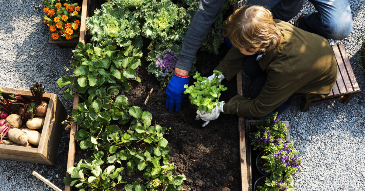 Grow Your Own Food: Five Tips to Home Gardening | The Paleo Diet®